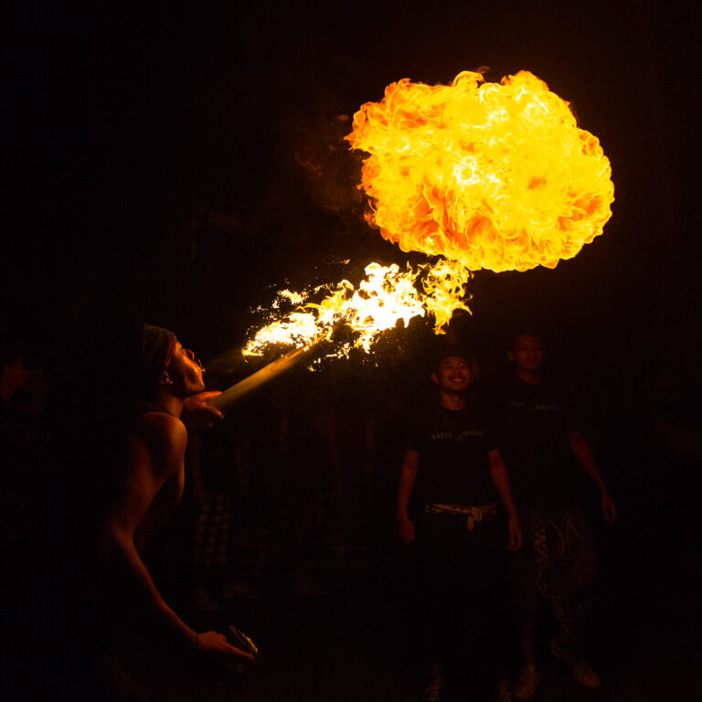 O homem e o fogo - Invivo