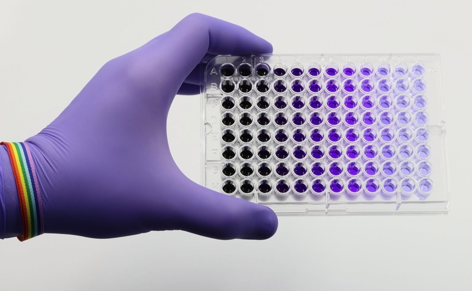 Seis cientistas transgênero de destaque na academia - Invivo