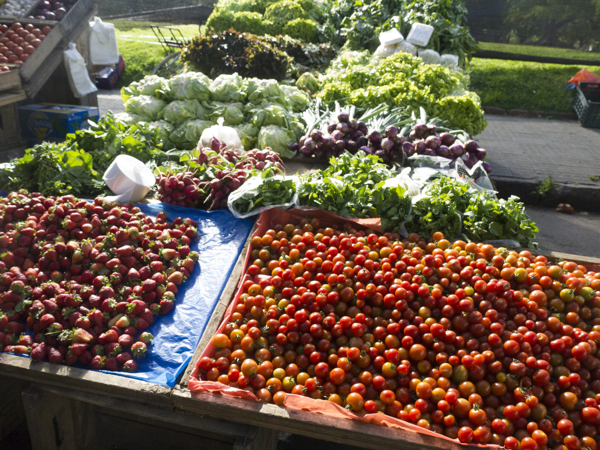 Alimentação natural e comida de verdade: como fazer escolhas nutritivas ...