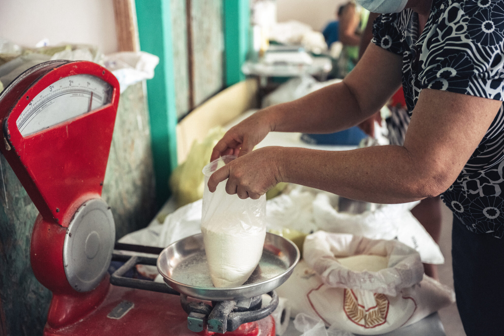 Mandioca: uma herança dos povos originários - Invivo